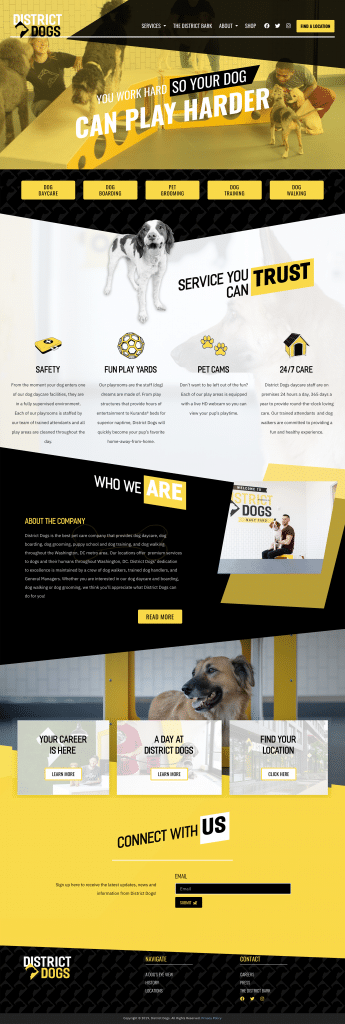 District Dogs, a WordPress website example by BeautifulPress